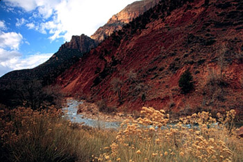 John Snell Photography - Zion National Park