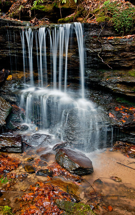 John W. Snell Photography
